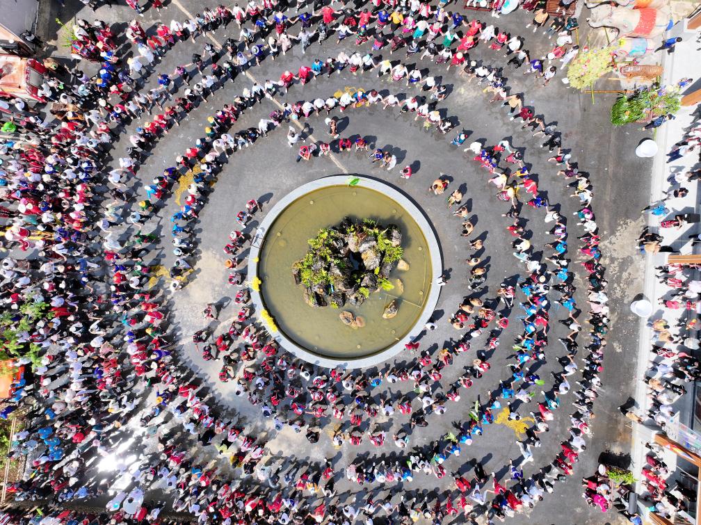 古老貢象節映照生物多樣性保護“中國智慧”-新華網